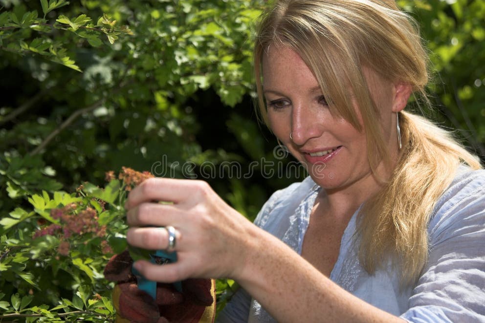 2,872 Woman Pruning Tree Stock Photos - Free & Royalty-Free Stock ...