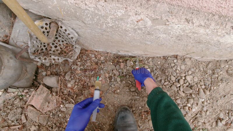 Pruning and Injection of Plants Stock Video - Video of worker, organic ...