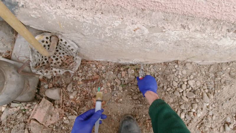 Injection of Herbicides into Plants Stock Video - Video of holding ...