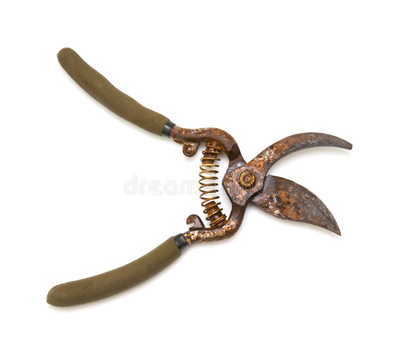 Pruning shears stock image. Image of water, white, garden - 18057311