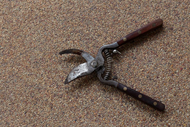 Pruning Shears stock image. Image of tool, rusty, floor - 45689643