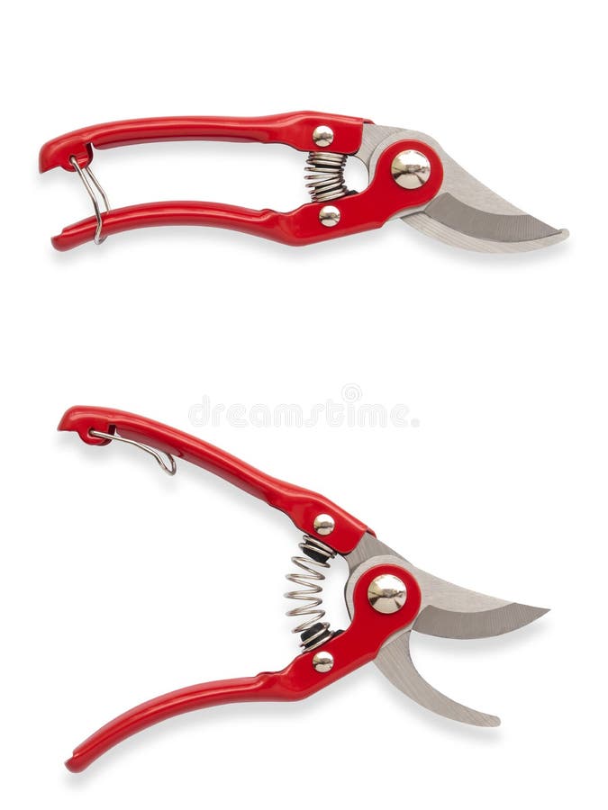 Pruning Shears or Scissors for Cutting Branches for Decorating Trees or ...