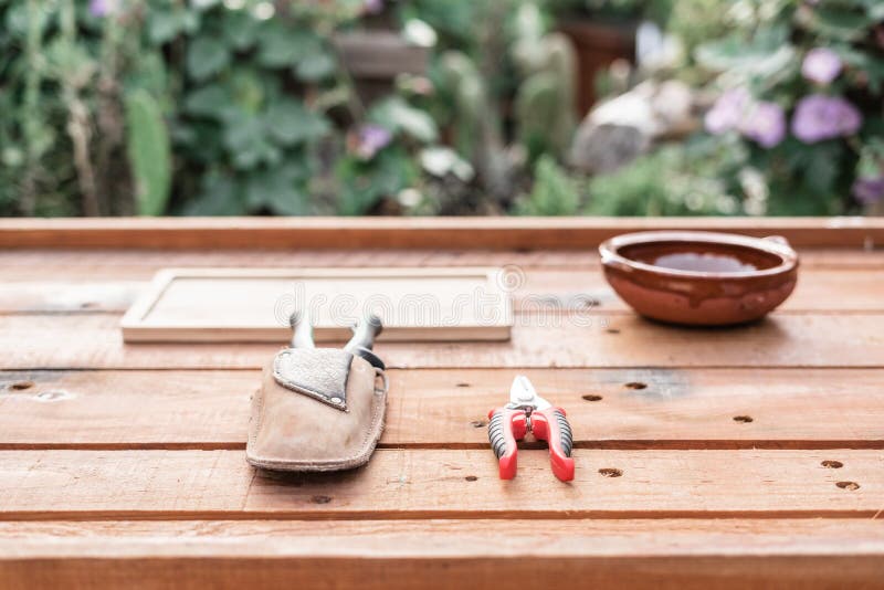 Pruning Shears on a Wooden Table Next To Plants Stock Photo - Image of ...