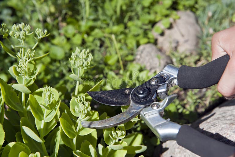 1,261 Small Spring Clip Stock Photos - Free & Royalty-Free Stock Photos ...