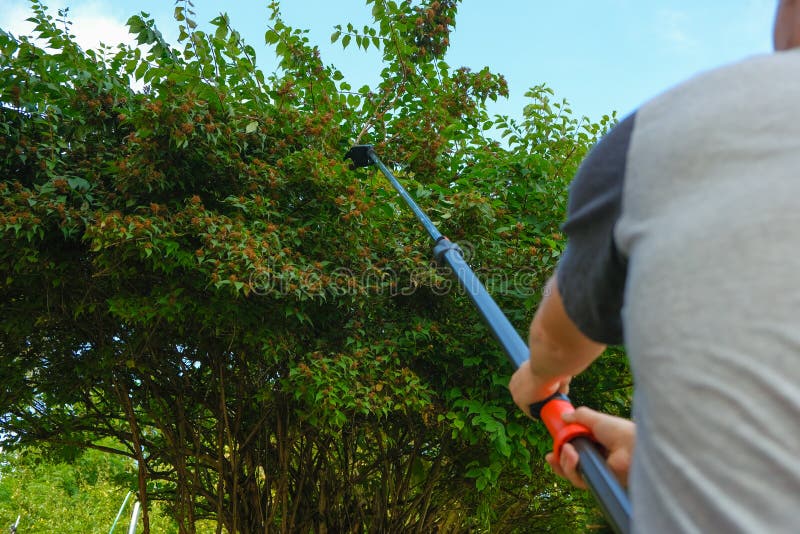 Pruning Tool. Garden Telescopic Pruner for Pruning Branches.Telescopic ...