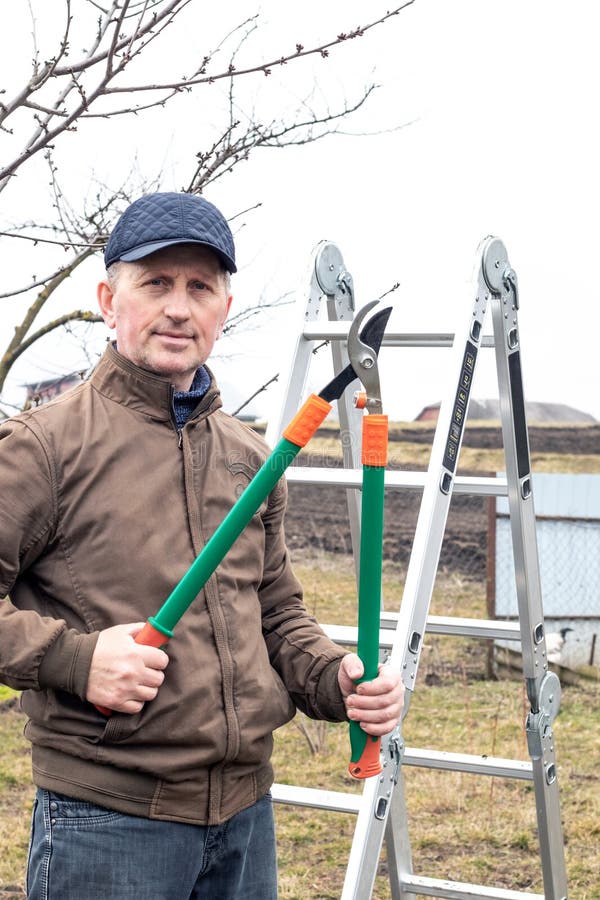 Pruning Trees in Spring, Gardener with Big Shears in the Garden Near ...
