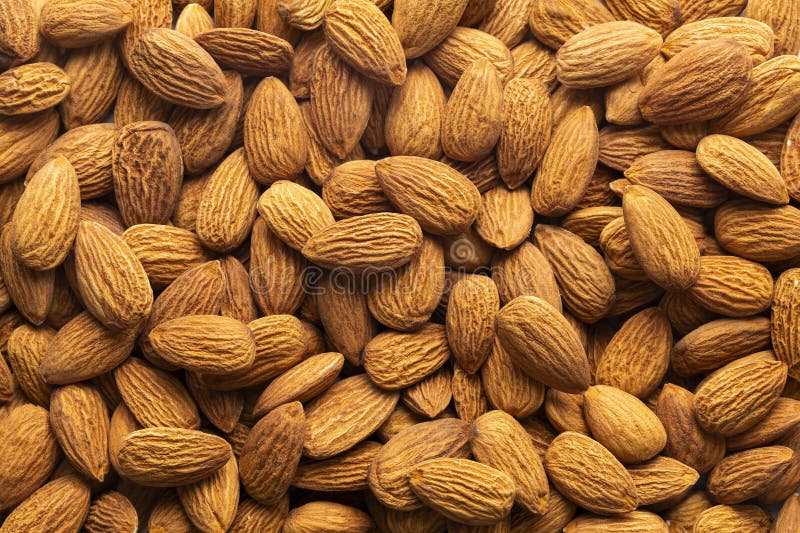 Prunus Dulcis Scattered Raw Organic Dried Almonds Stock Photos - Free ...