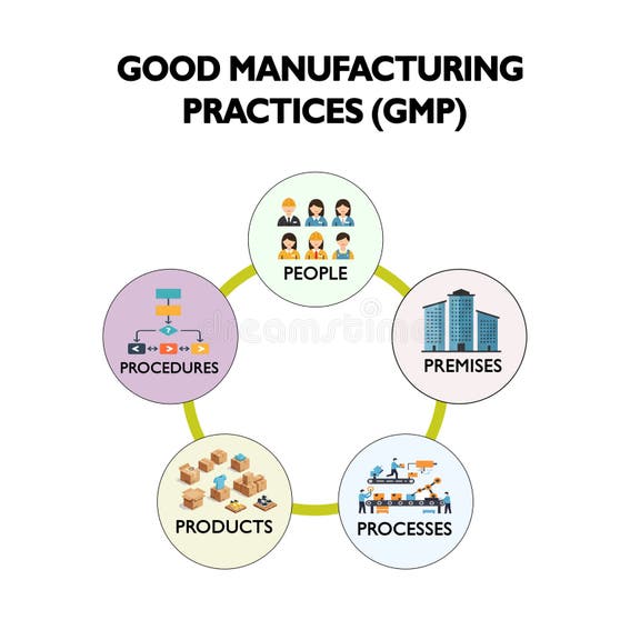 The 5Ps in GMP are Essential Principles Ensuring Quality and ...