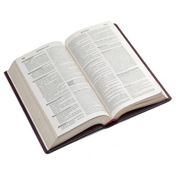 PSD Dictionary on Transparent Background Stock Illustration ...