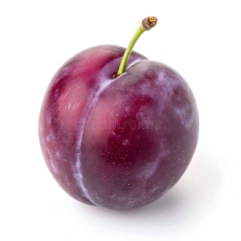 PSD Plum Fru stock illustration. Illustration of seasonal - 357458073