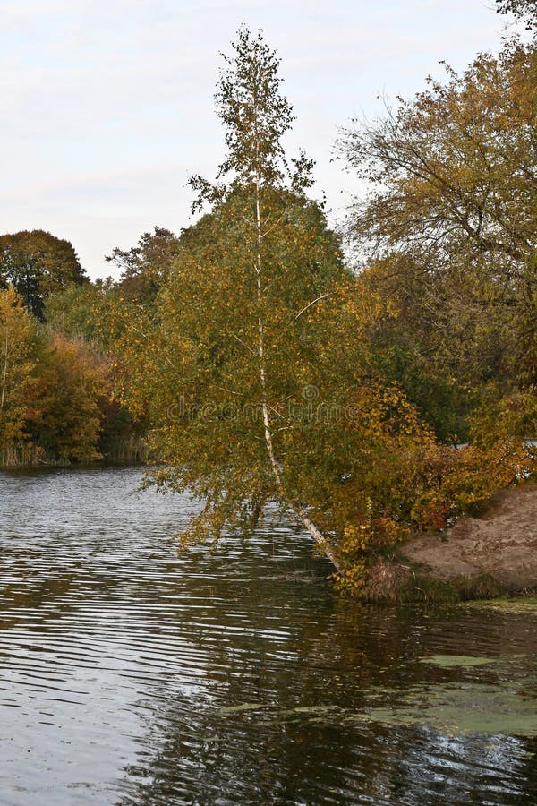 The Psel River in the Autumn. Stock Image - Image of river, sand: 101719177