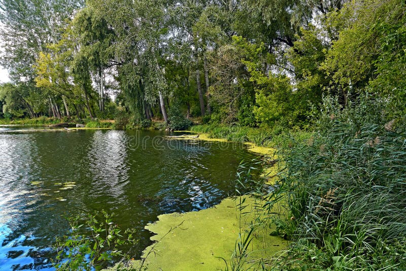 The Psel River in the Autumn Stock Image - Image of input, excellent ...