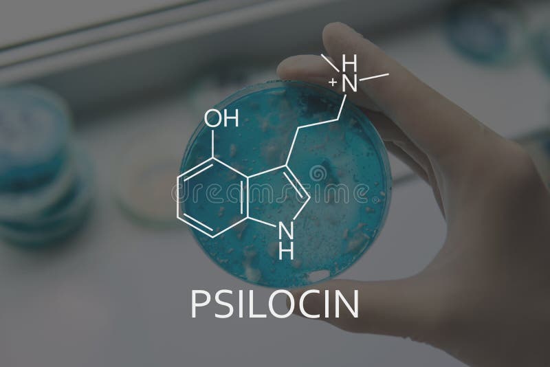Psilocin Formula. Psychoactive Natural Drug Stock Photo - Image of ... Psilocin Formula. Psychoactive Natural Drug Stock Photo - Image of ...