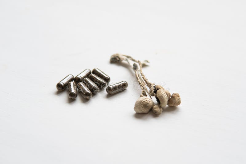 Psilocybin Mushroom. Energy Micro Dosing Psychedelic Microdosing Stock ...