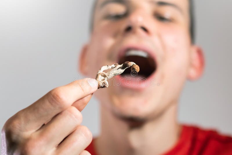 Magic Mushrooms Microdosing Stock Image - Image of anxiety, cubensis ... Magic Mushrooms Microdosing Stock Image - Image of anxiety, cubensis ...