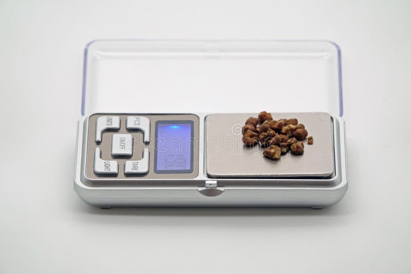 Psilocybin Truffles on a Pocket Scale for Micro Dosing Stock Photo ...
