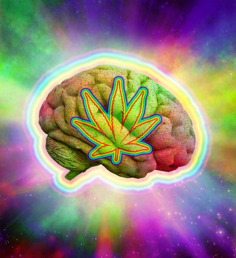 Psychedelic Brain Marijuana Stock Illustration - Illustration of hash ...
