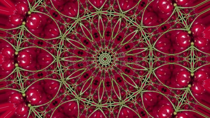 Psychedelic Trance Visuals with Energy-filled Kaleidoscope Patterns and ...