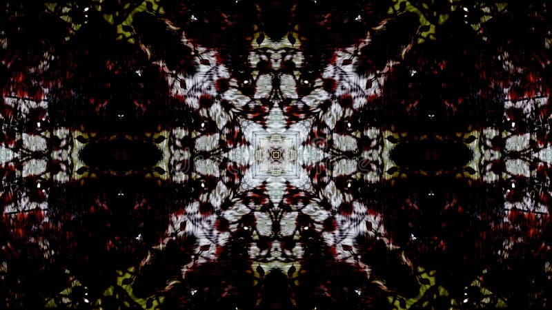 Psychedelic Video Loop, Live VJ Loop, Party Nightclub Kaleidoscope ...