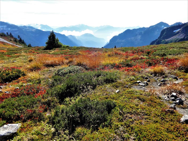 Ptarmigan Ridge Trail with Fall Color Stock Photo - Image of color ...