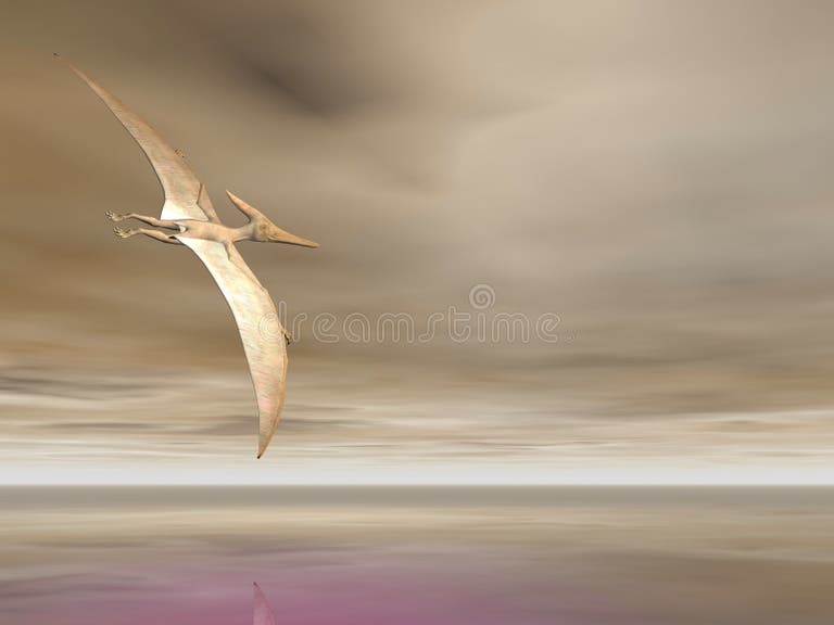 Pteranodon stock illustration. Illustration of teeth, prehistoric - 5791359