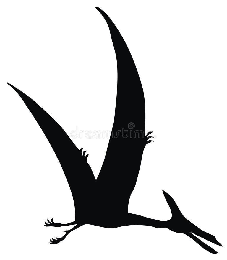 Vector Pteranodon Stock Illustrations – 1,447 Vector Pteranodon Stock ...