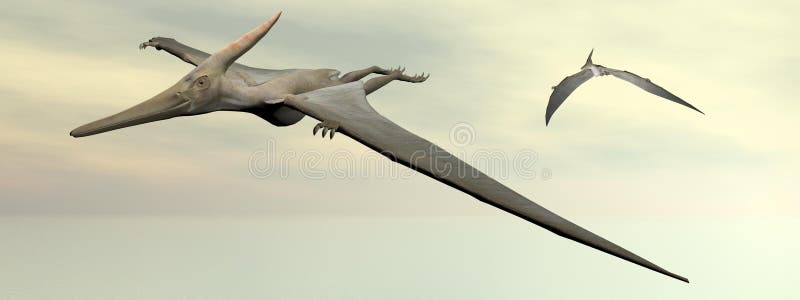 Art & Collectibles Pterodactyl Flying Dinosaur Dinosaur Bird in Sky ...