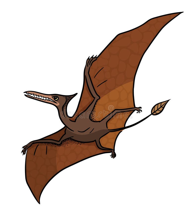 Pteranodon Pterosaur Dinosaur Vector Illustration in Cartoon Style ...