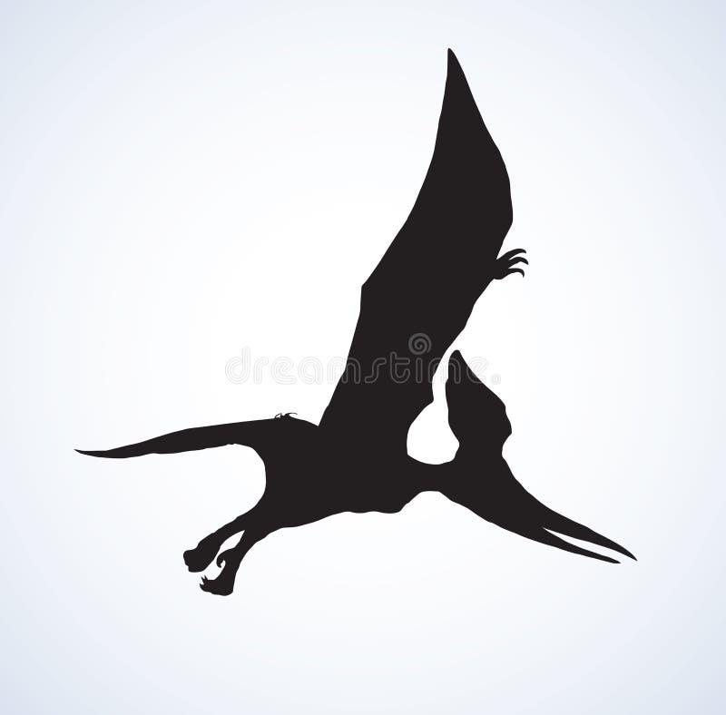 Pterodactylus. Vectortekenning Vector Illustratie - Illustratie: 89770977