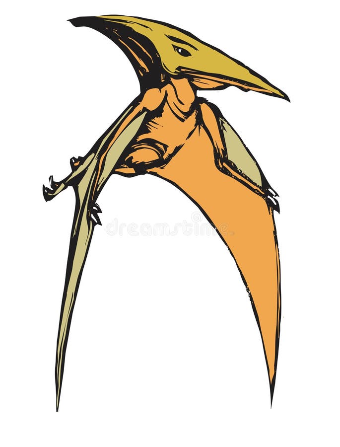 Pterodactylus vector illustratie. Illustration of archeologie - 8732027