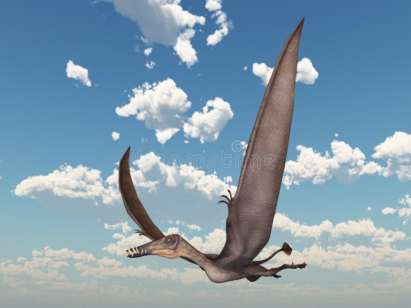 Pterosaur Dorygnathus stock illustration. Illustration of nature - 58213654