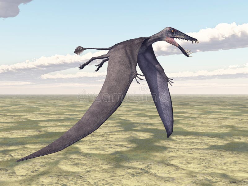 Pterosaur Dorygnathus stock illustration. Illustration of paleontology ...