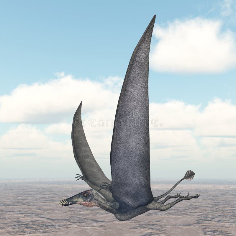 Dorygnathus Flying Dinosaur Photorealistic Representation, Side Stock ...