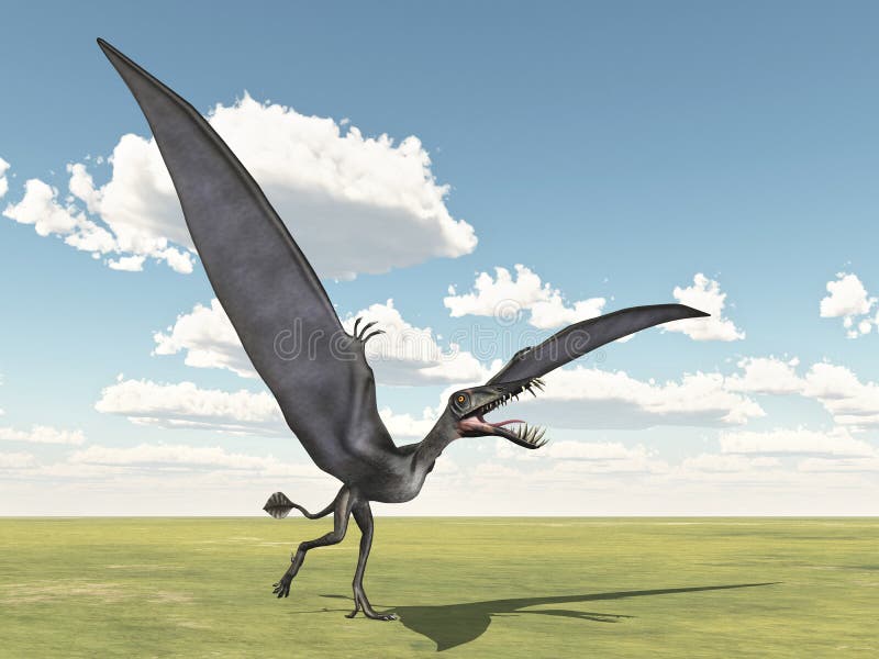 Pterosaur Dorygnathus stock illustration. Illustration of paleontology ...