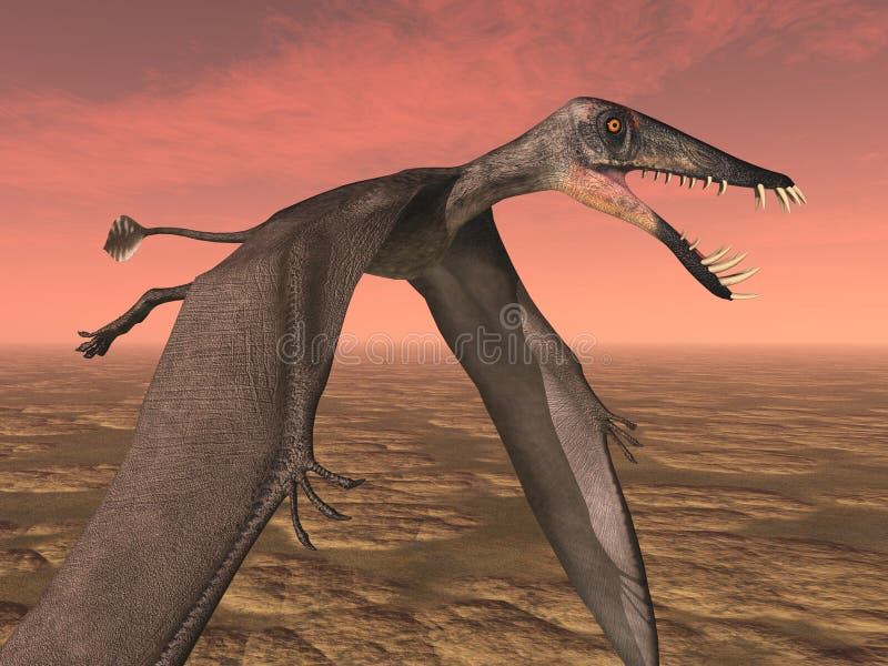 Pterosaur Dorygnathus Stock Illustrations – 35 Pterosaur Dorygnathus ...