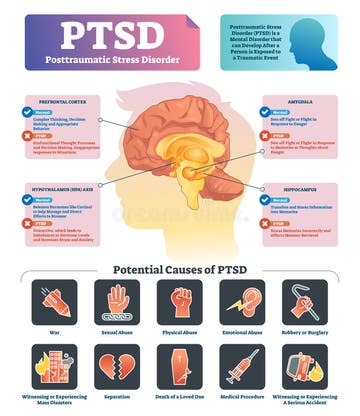 Ptsd Brain Image Stock Illustrations – 238 Ptsd Brain Image Stock Illustrations, Vectors ...
