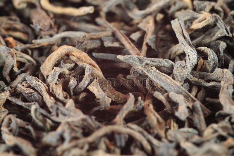 Pu erh tea stock image. Image of drinking, slim, texture - 13456875