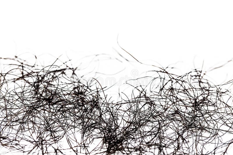 Pubic Hair Fall Isolated on White Background Stock Photo - Image of ...