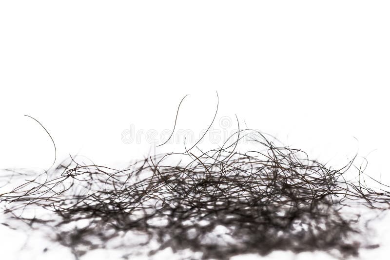 Female Groin Area Stock Photos - Free & Royalty-Free Stock Photos from ...