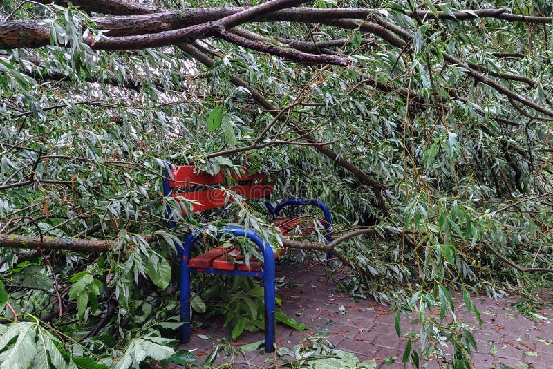A Public Bench on Which a Tree Fell during a Thunderstorm. Stock Photo ...