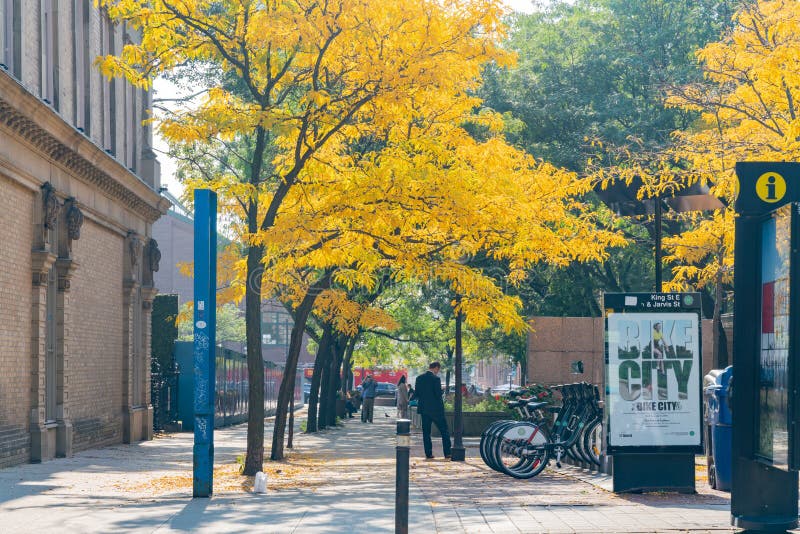 Public Bicycle and Fall Color Editorial Photography - Image of fall ...