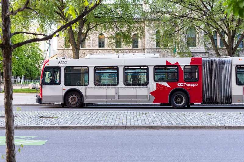 Public Bus on the Road in Downtown Ottawa. OC Transpo - Ottawa, Canada ...