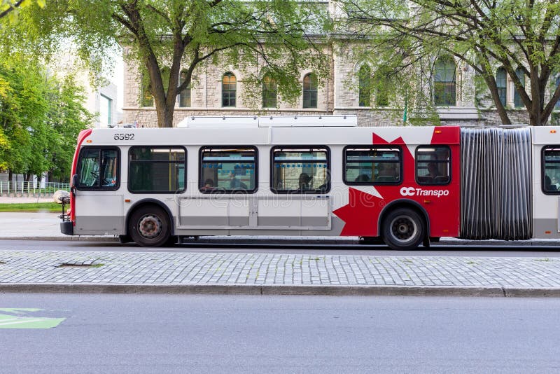 Public Bus on the Road in Downtown Ottawa. OC Transpo - Ottawa, Canada ...