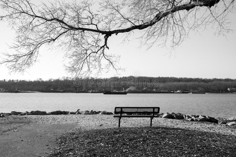 Public Chair with Tree at Seaside in Winter Time Stock Image - Image of ...