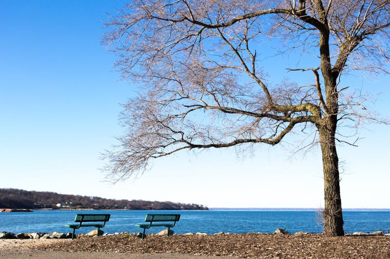Public Chair with Tree at Seaside in Winter Time Stock Image - Image of ...