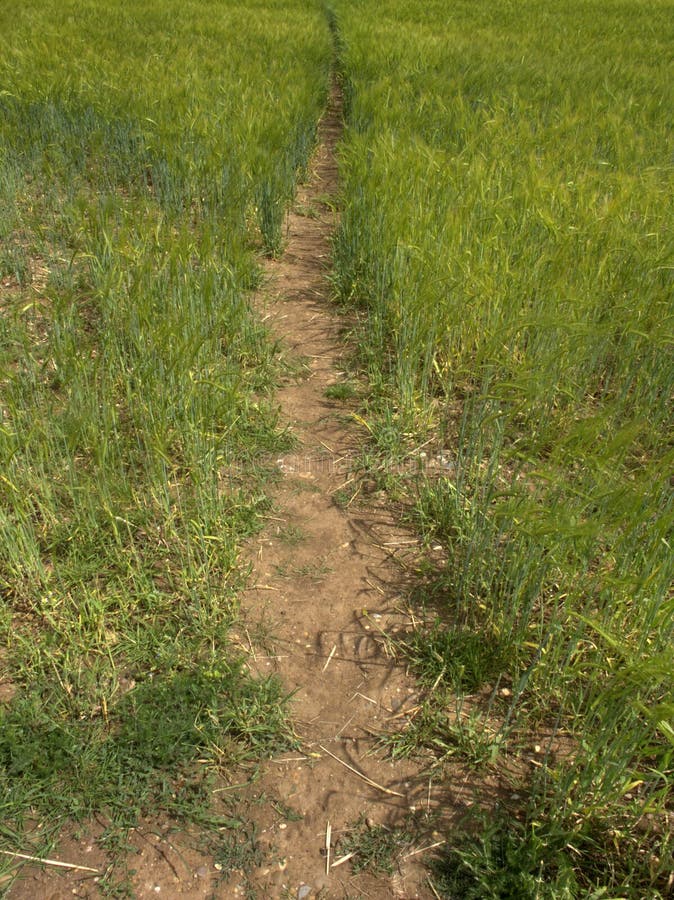 Public footpath stock image. Image of walk, footpath - 31916951