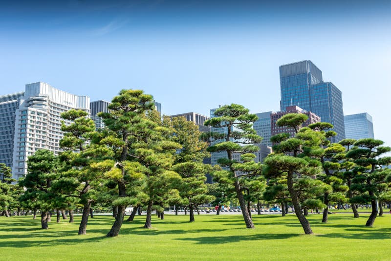 Public Park and Buildings Tokyo Stock Image - Image of public, summer ...