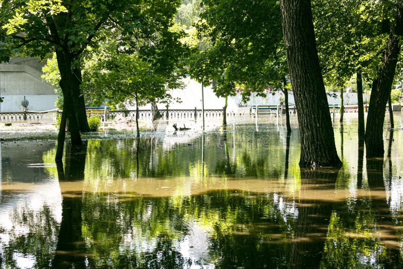 Public Park Drenched in Rain. Stock Image - Image of outdoor, disaster ...