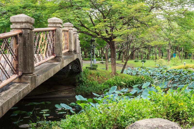 Public park stock image. Image of view, outdoor, public - 40544597