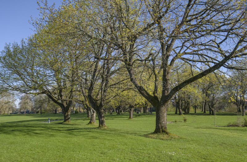 Public Park Landscape in Fairview Oregon Stock Image - Image of leisure ...
